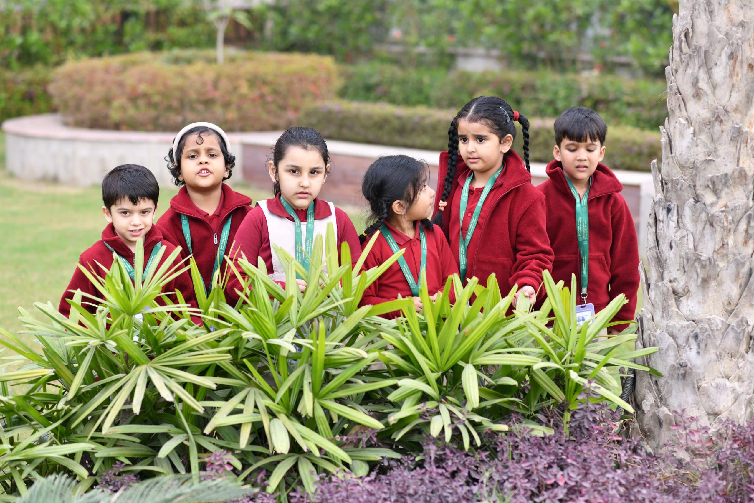 Preparing Your Child for Kindergarten: A Guide to Early Admission ...